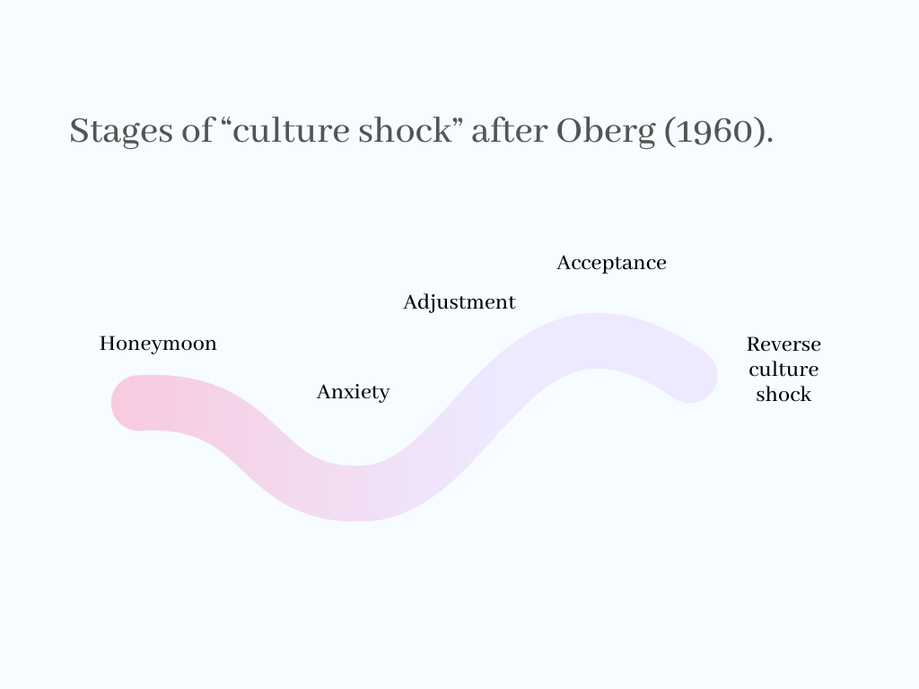 On a roller coaster ride collecting intercultural experiences | Laurea ...
